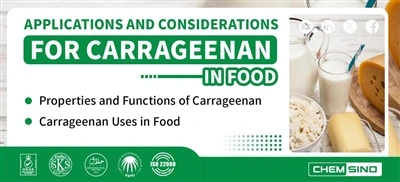 Applications and Considerations for Carrageenan in Food - Blog ...